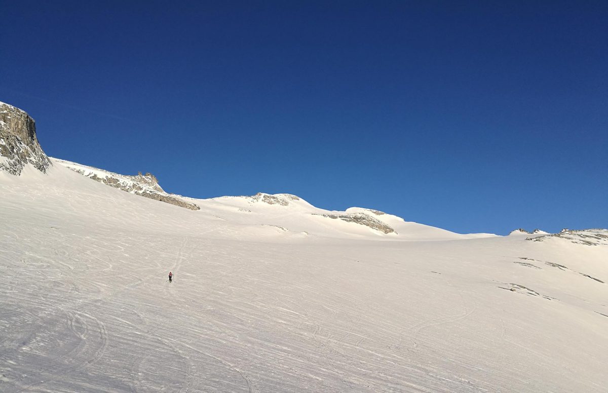 Skitour Hochalmspitze 3.360m - alle Infos und Insider Tipps!