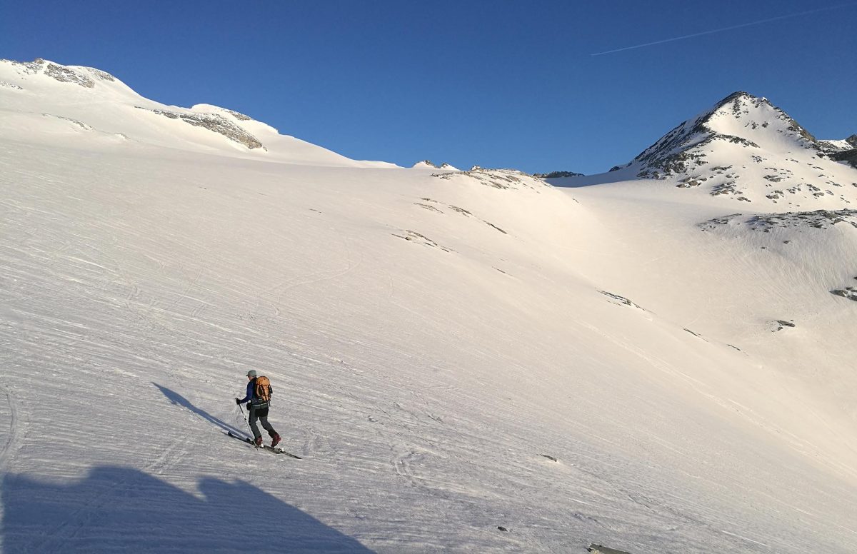 Skitour Hochalmspitze 3.360m - alle Infos und Insider Tipps!